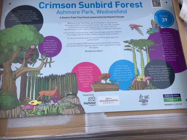 ‘Tiny Forest’ Launched in Tree-Mendous – Ashmore Park | Phil Bateman Online